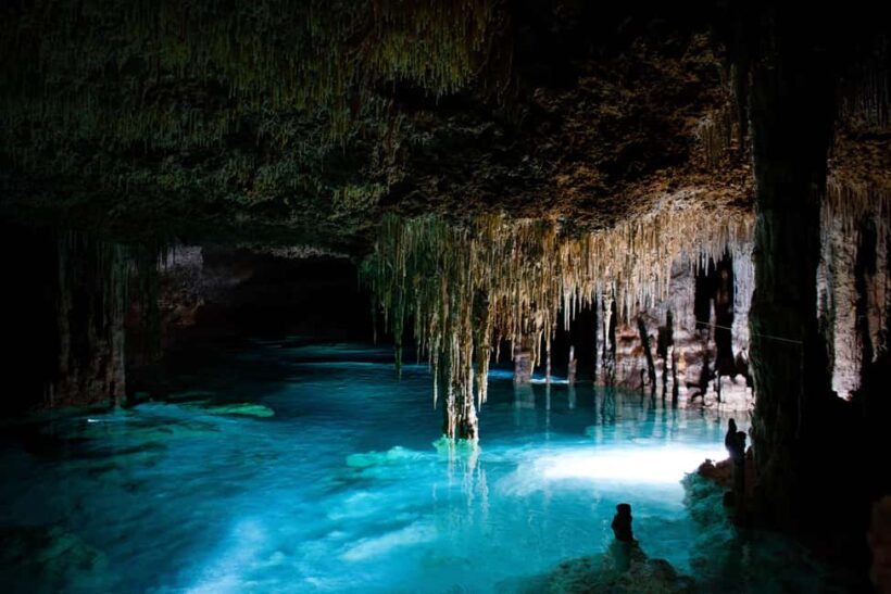 Riviera Maya: Rio Secreto Natural Reserve Tour - What Travelers Say