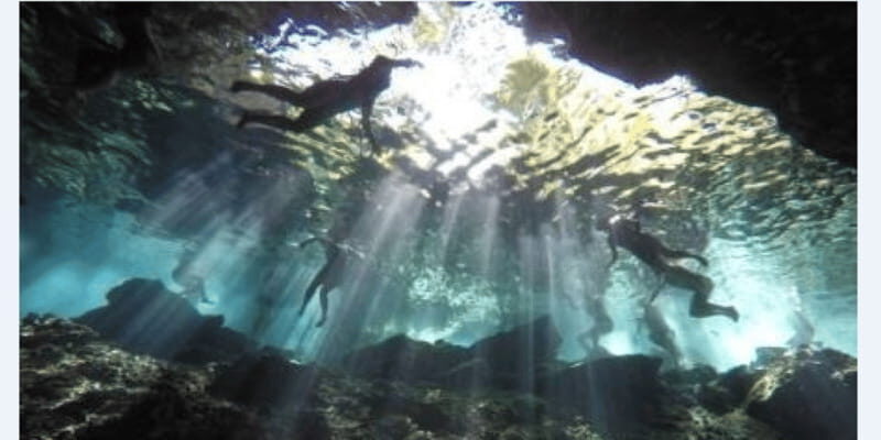 Riviera Maya: Snorkel Cenotes - The Sum Up