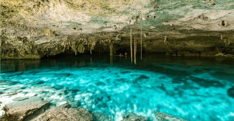 Riviera Maya: Snorkel Cenotes - FAQ