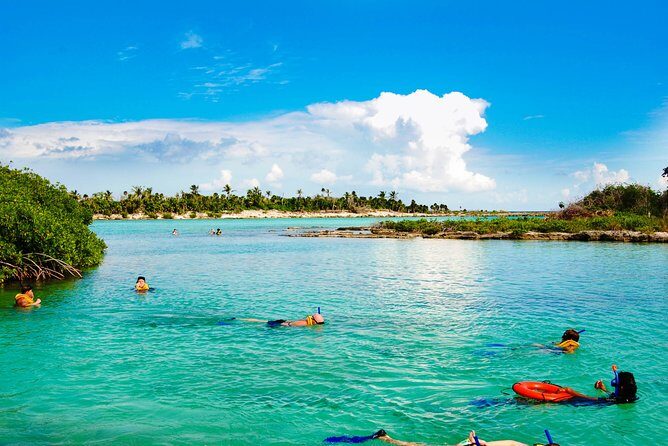Riviera Maya Snorkeling Adventure: Lagoon, Cenotes Open & Cavern - What to Expect on the Riviera Maya Snorkeling Adventure
