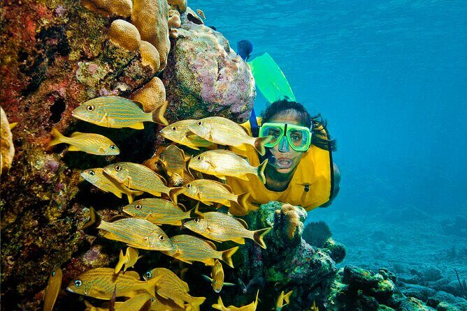 Riviera Maya Snorkeling Adventure: Lagoon, Cenotes Open & Cavern - Practical Tips for Participants