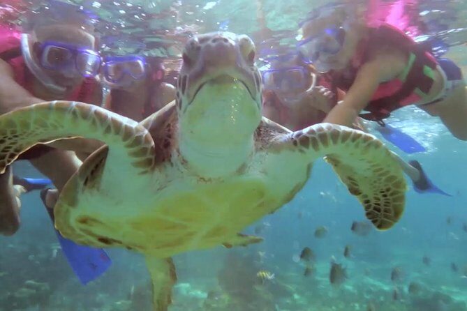 Riviera Maya Snorkeling - Who Is This Tour Best For?