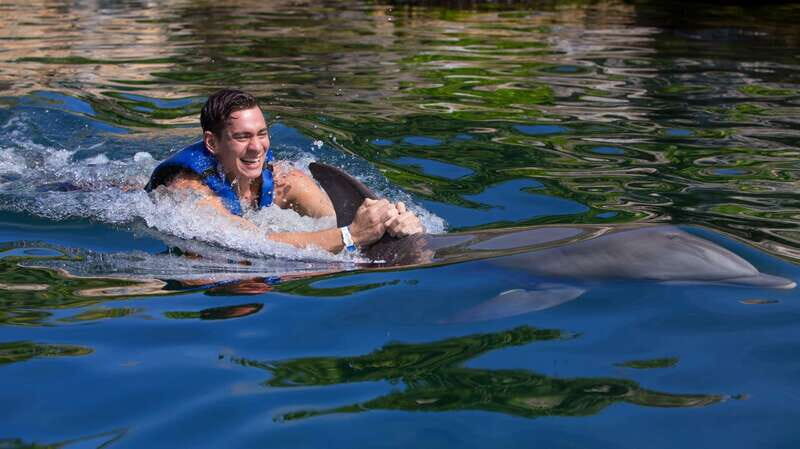 Riviera Maya: Swim with dolphins Interax - Key Points
