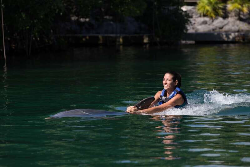 Riviera Maya: Swim with dolphins Interax - What You Can Expect from This Dolphin Tour
