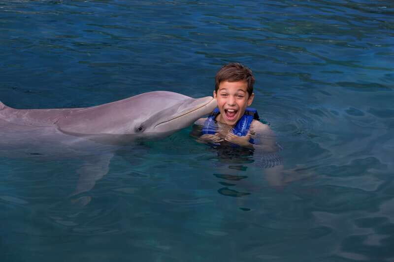 Riviera Maya: Swim with dolphins Interax - Final Words: Is It Worth It?