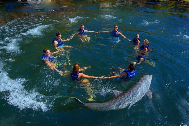 Riviera Maya: Swim with dolphins Interax - FAQ