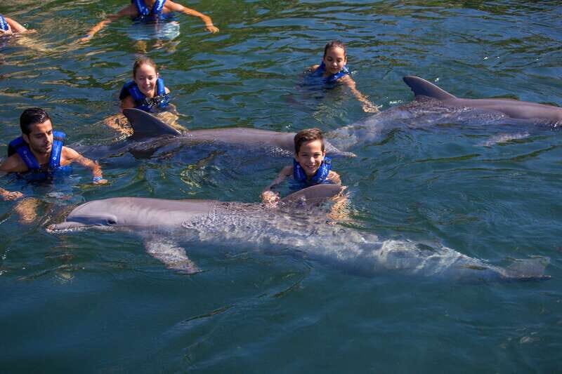 Riviera Maya: Swim with dolphins Primax - Practical Details: What You Need To Know
