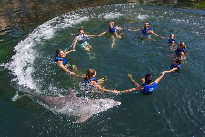 Riviera Maya: Swimming Experience with Dolphins - An In-Depth Look at the Riviera Maya Dolphin Experience