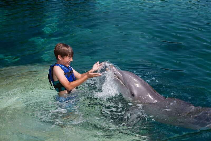 Riviera Maya: Swimming Experience with Dolphins - Final Thoughts: Is It Worth It?