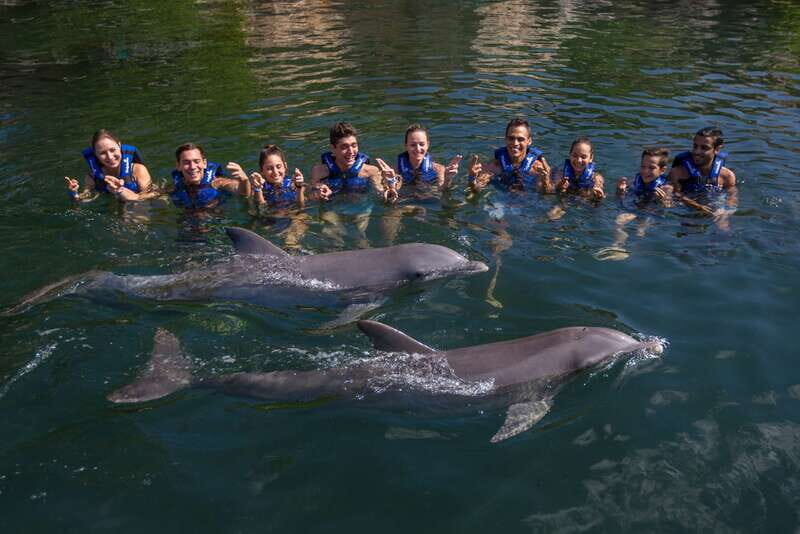 Riviera Maya: Swimming Experience with Dolphins - Frequently Asked Questions