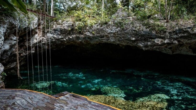Riviera Maya: Tulum Ruins and 2 Cenotes Half-Day Tour - What Reviewers Love Most