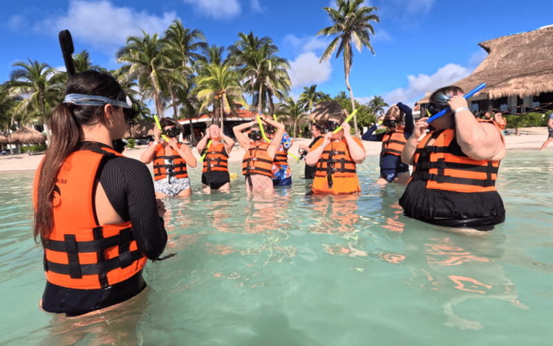 Riviera Maya: Tulum Ruins Tour, Turtle Swimming, Cenotes, and Lunch. - FAQs