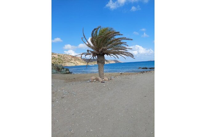 RIVIERA - Vai Palm Beach, Toplou Monastery - Toplou Monastery: A Window into Crete’s Religious and Artistic Heritage