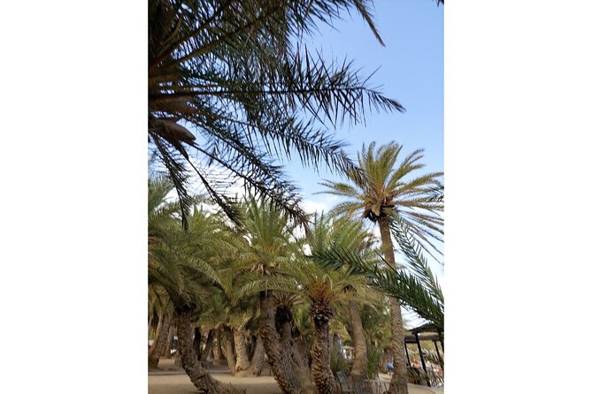 RIVIERA - Vai Palm Beach, Toplou Monastery - Lunch and Local Flavors