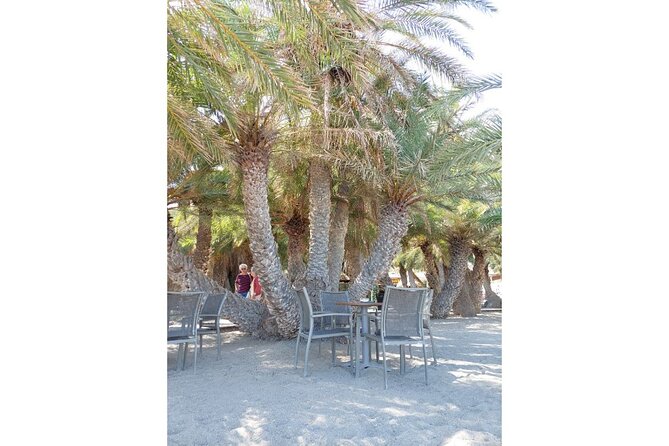 RIVIERA - Vai Palm Beach, Toplou Monastery - Sunset at Platanos: A Perfect Finale