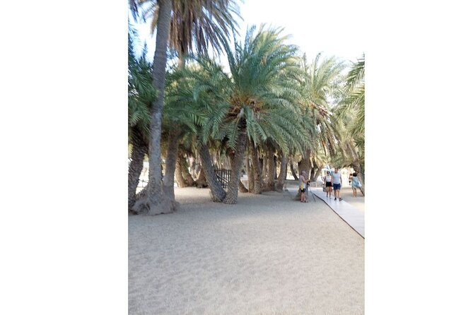 RIVIERA - Vai Palm Beach, Toplou Monastery - Additional Considerations