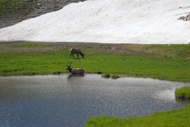 RMNP: Bear Lake Corridor Tour - A Deep Dive into the Experience