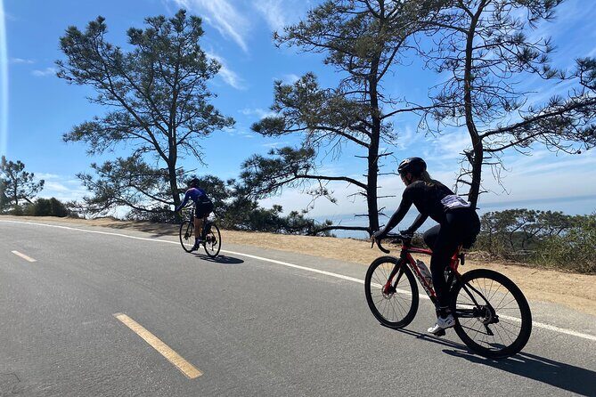 Road Bike Ride - designed for serious cyclists - Key Points
