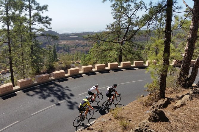 Road Cycling Tenerife - Teide Route - Who Would Love This Tour?