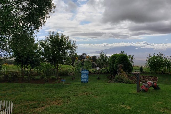 Road to Hana Adventure in Maui - Private - Just for Your Group - Hassle-Free Logistics