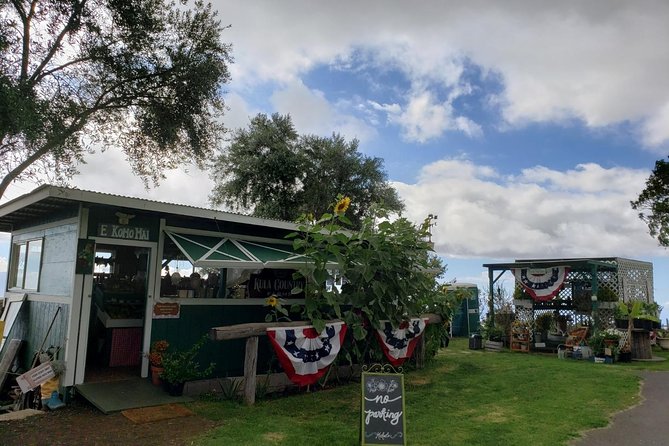 Road to Hana Adventure in Maui - Private - Just for Your Group - Accessibility and Accommodations