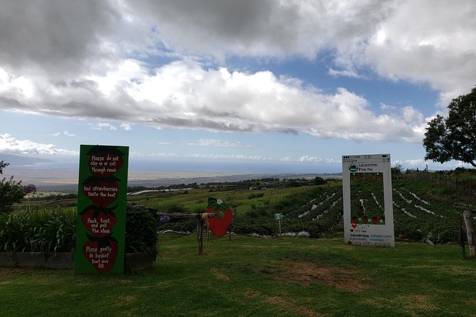 Road to Hana Adventure in Maui - Private - Just for Your Group - Highly Recommended Guides