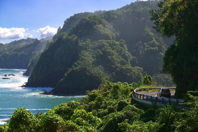 Road to Hana Adventure with Farm to Table Lunch in Town of Hana - Who Is This Tour Best For?