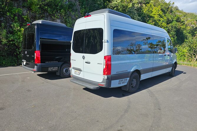 Road to Hana Adventure with Farm to Table Lunch in Town of Hana - Final Thoughts