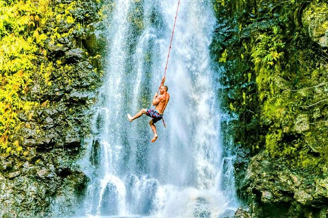 Road To Hana Black Sand Beach Waterfalls & Turtles Tour - The Sum Up