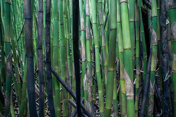 Road to Hana Halfway and Haleakala National Park - What Reviewers Say