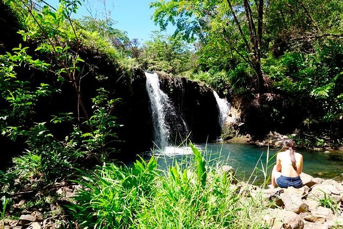 Road to Hana in Mercedes Van: Waterfalls and Black Sand Beach - The Value of the Experience