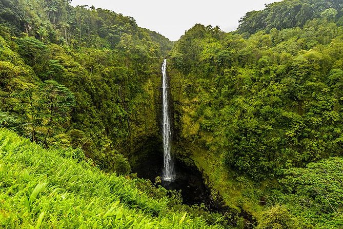 Road To Hana: Maui Waterfall Hiking Tour in Private Jeep - Analyzing the Value
