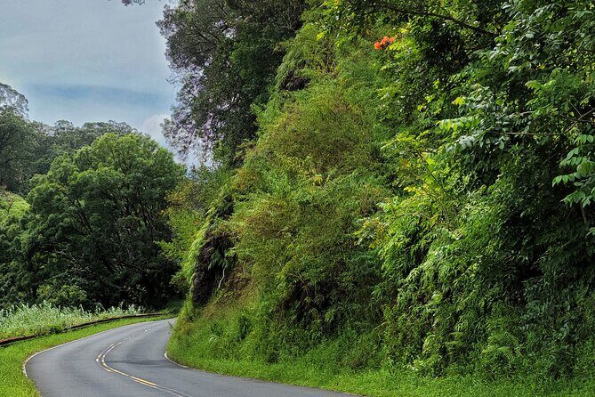 Road to Hana Private Full Day Tour - An In-Depth Look at the Road to Hana Private Tour