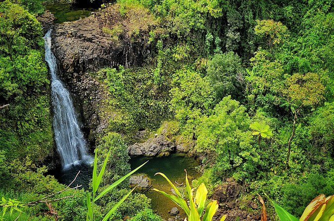 Road to Hana Private Full Day Tour - Who Should Consider This Tour?