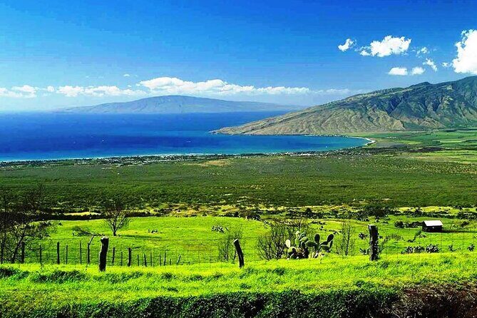 Road to Hana Private Jungle Tour with Lahaina Side pick up - Final Thoughts