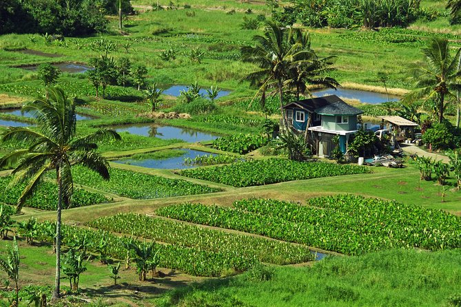 Road to Hana Tour with Lunch and Pickup - Frequently Asked Questions