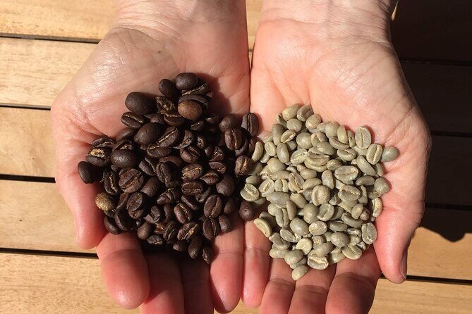 Roast Your Own Coffee - An In-Depth Look at the Coffee Roasting Tour