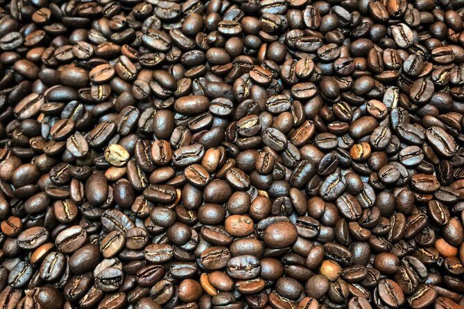 Roasting Experience at 14th Coffee Co - The Sum Up