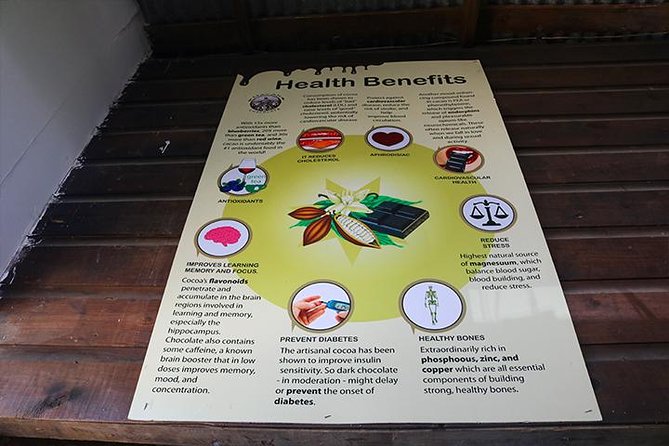 Roatan ATV Sightseeing, Sloth & Monkeys, Chocolate & Rum Factory - Accessibility and Health Considerations