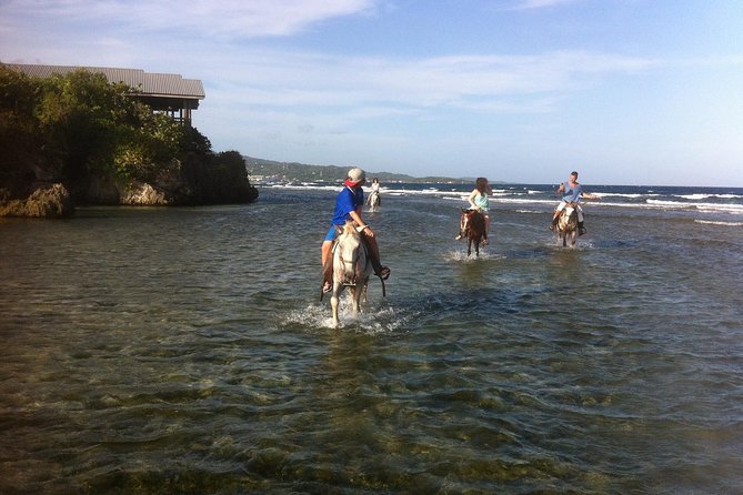 Roatan Excursion: Horseback Ride / Plus Sloth Park and Beach Break - Sloth and Monkey Park Experience