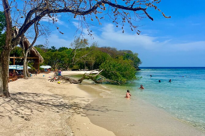 Roatan Monkey and Sloth Sanctuary and Beach Break - Booking Considerations