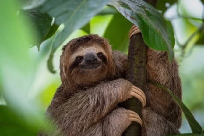 Roatán Private Snorkeling, Wildlife Park, and West Bay Beach - Planning Your Roatán Adventure