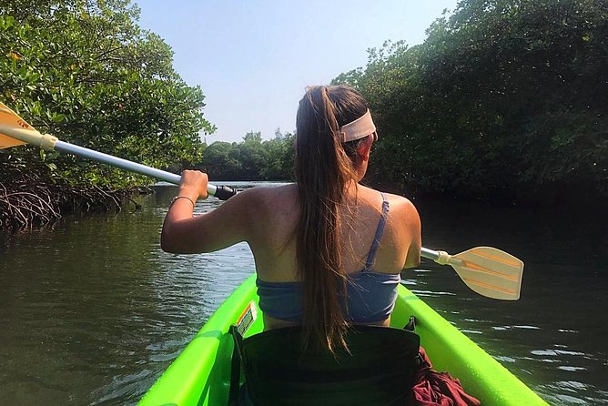 Roatan Shore Excursion: Kayak Harbor Adventure and Reef Snorkel - Picturesque Roatan Coastline