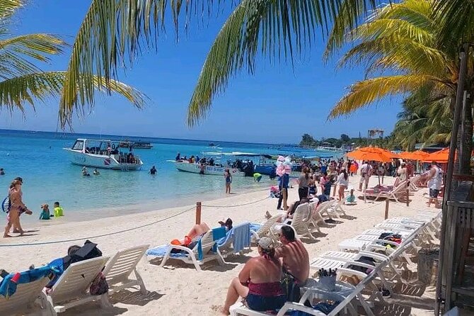 Roatan Sloths & Monkeys, Chocolate Factory Plus Beach Break - Exploring the Sloth and Monkey Sanctuary