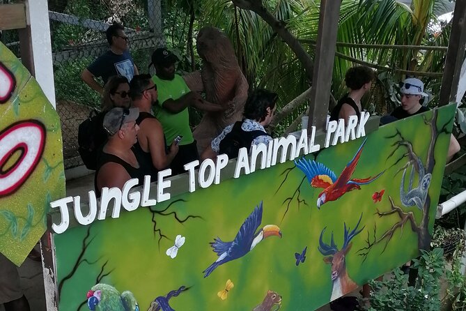 Roatan Sloths & Monkeys, Chocolate Factory Plus Beach Break - Highlights of the Private Tour Experience