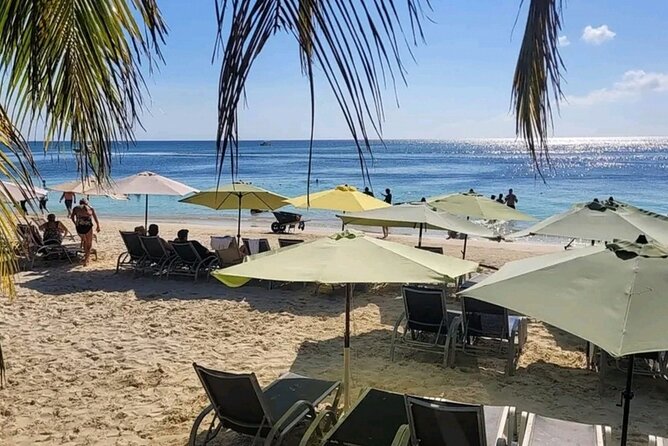 Roatan Sloths & Monkeys, Chocolate Factory Plus Beach Break - Feedback From Previous Guests