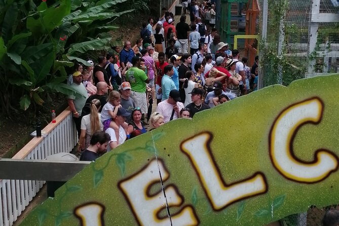 Roatan Sloths & Monkeys, Chocolate Factory Plus Beach Break - Selecting the Right Guide for Your Adventure