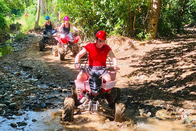 Roatan Sloths Sustainable Safari: ATV Dune Buggy, Beach Adventure - Guest Experiences and Reviews