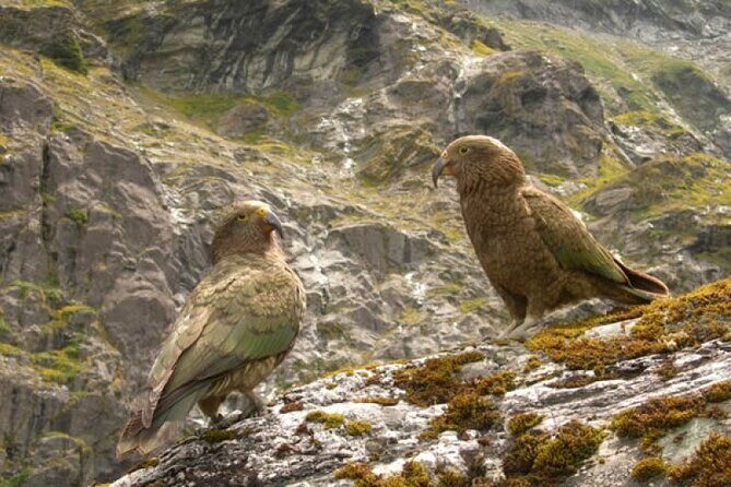 Rob Roy Glacier Guided Walk - Final Thoughts: Is It Worth It?