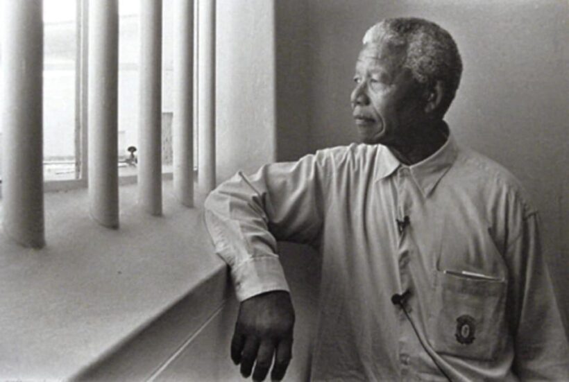 Robben Island Museum Tour, Ferry with last minute tickets - Authentic Traveler Feedback